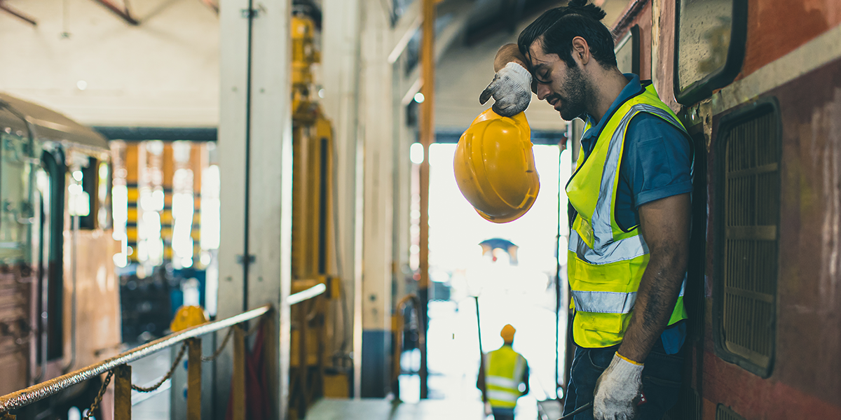 Estrés térmico: Peligro a largo plazo para los riñones, el corazón y el ...